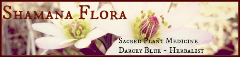 What the Heck is Shamana Flora- and Giveaway of Two Spots to the Full ...