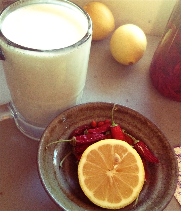 Salty kefir lassi with fresh herbs, lemon and chile – SHAMANA FLORA